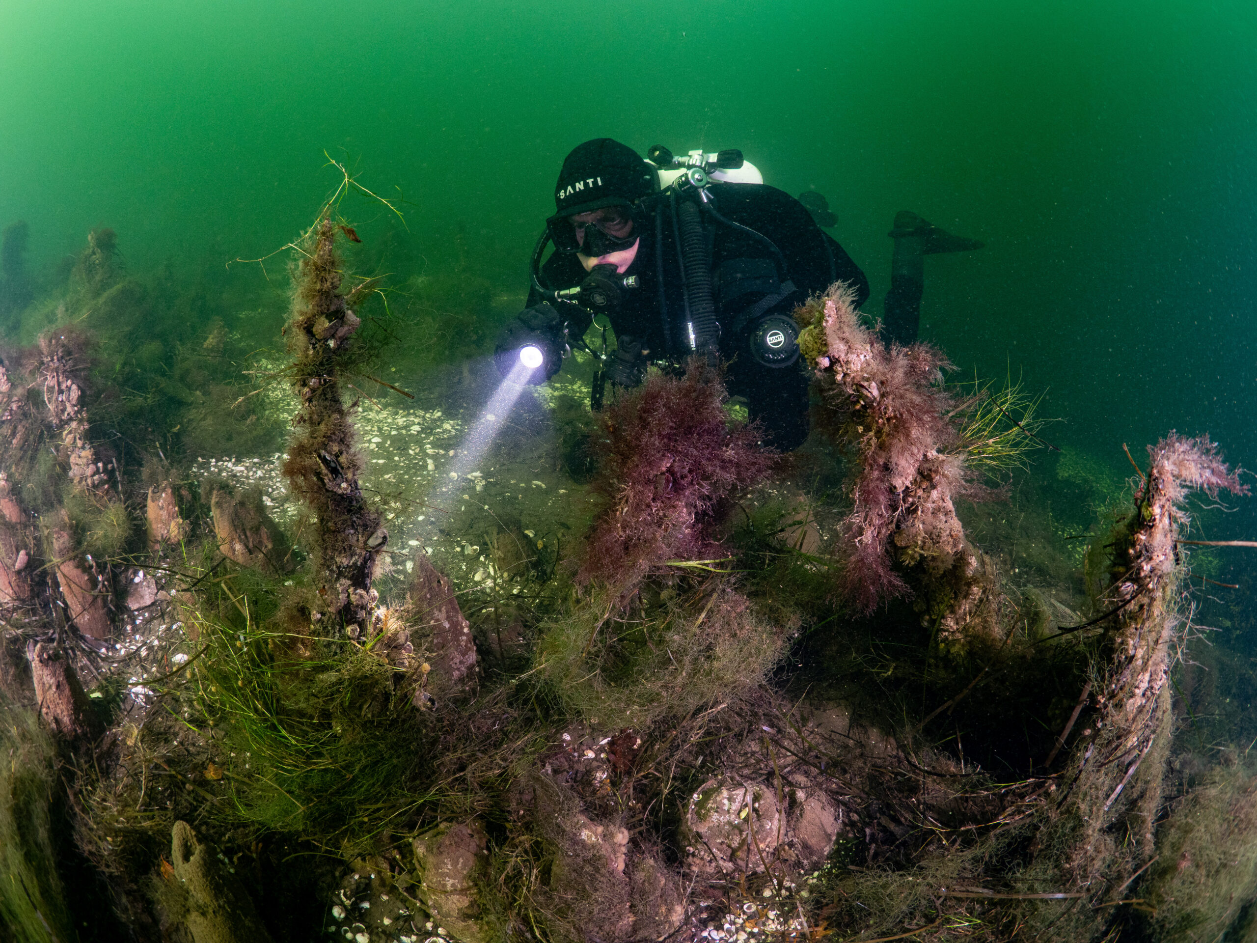 Mysterious underwater barriers - Voice of the Ocean